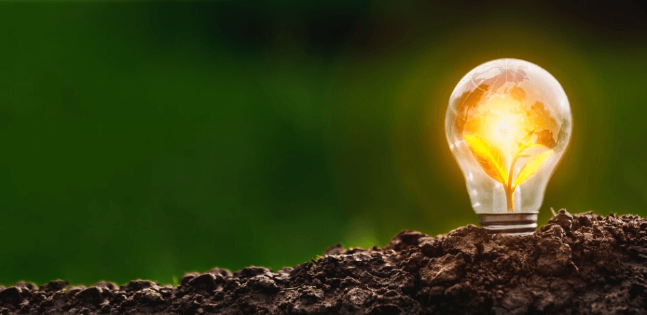 10 consigli per avere una startup green e tutelare la natura